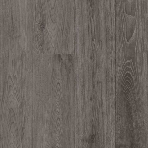 SCOTCH | SPEC Living